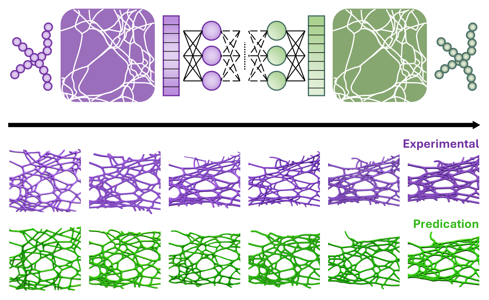 Physics-Informed Graph Neural Networks for Predicting Deformation in ...